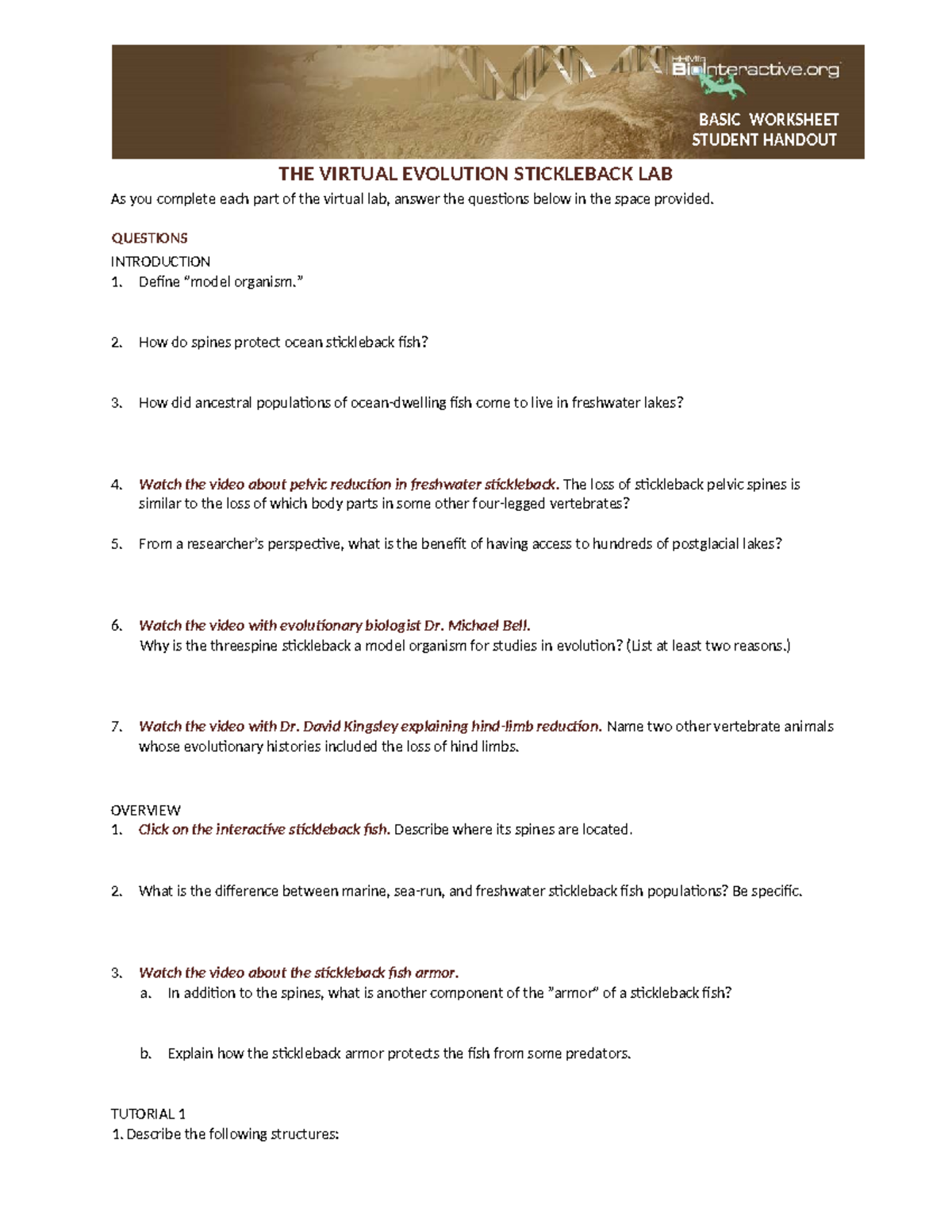 Stickleback Lab Worksheet: Exploring Evolutionary Adaptations - Studocu