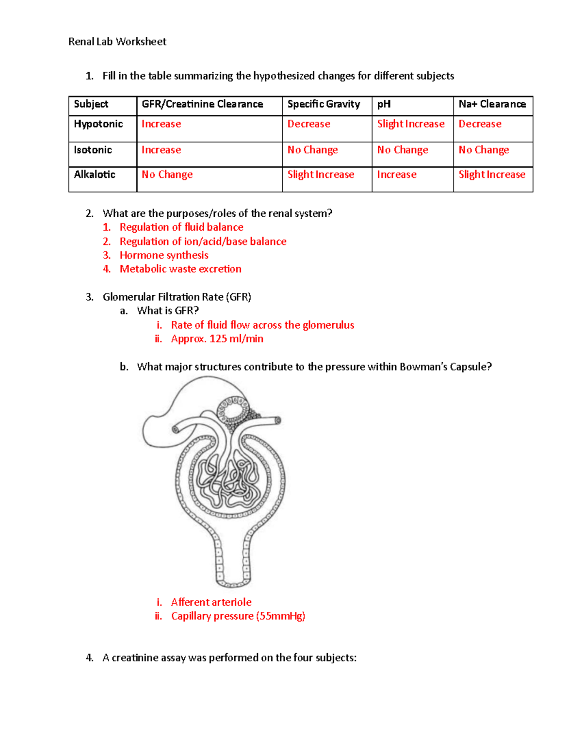 Renal Lab Worksheet KEY - Practice for Course REN 101 - Studocu