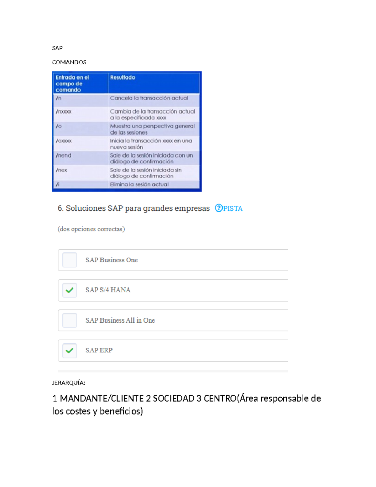 SAP TEORIA FINAL - Sistemas de informacion ERP - SAP COMANDOS JERARQUÍA ...