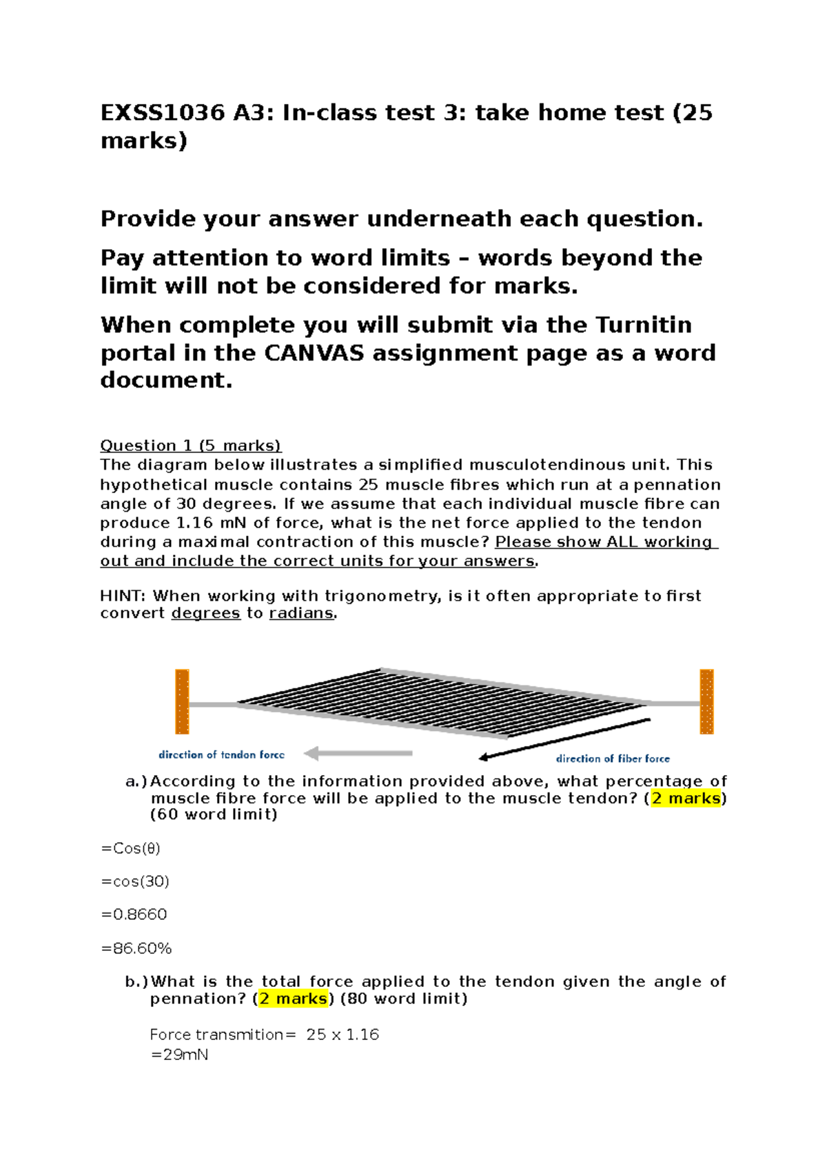 EXSS1036 Final Exam: In-Class Test 3 - Musculotendinous & Cardiac ...