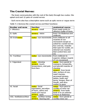 Rhetorical Analysis Essay - ENG 101 - Tasha Caudill Meredith Mullins ...