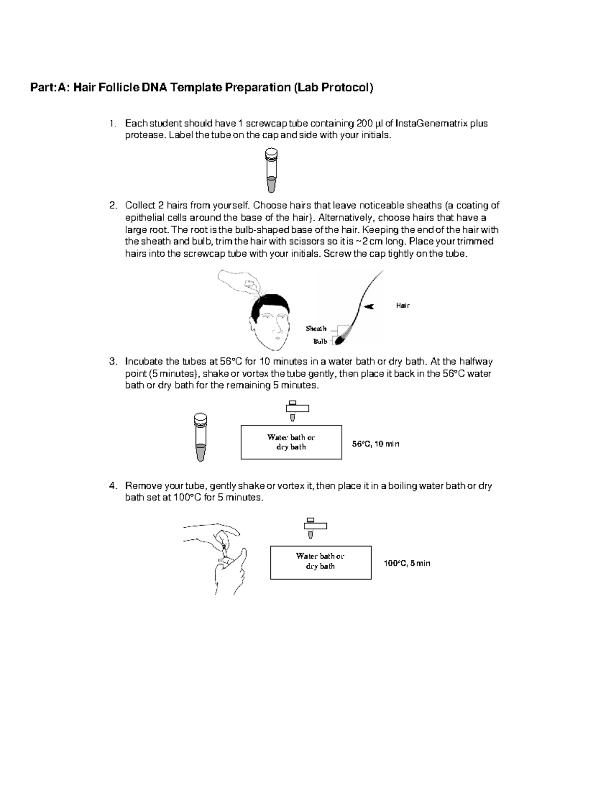 PV92-PCR Protocol: Hair Follicle DNA Preparation and Amplification ...