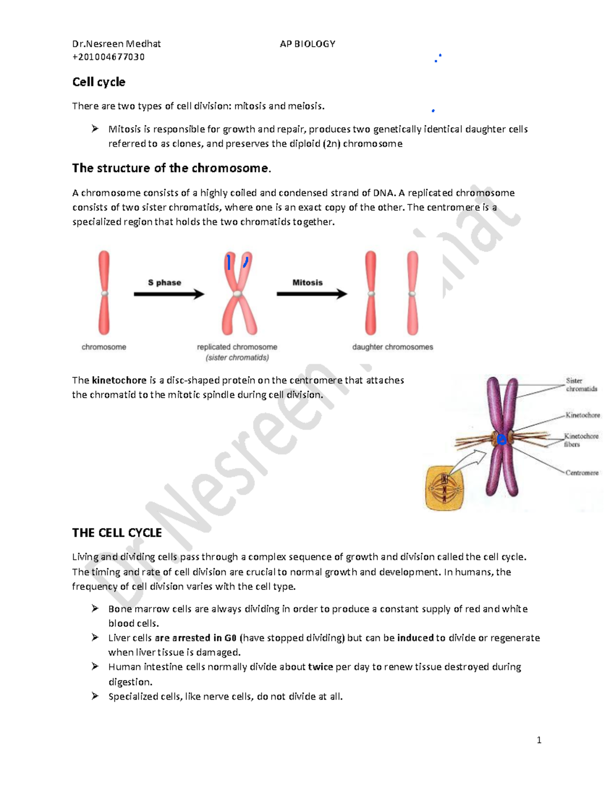 Cell Cycle Overview: Mitosis, Meiosis, and Cancer - AP BIOLOGY - Studocu