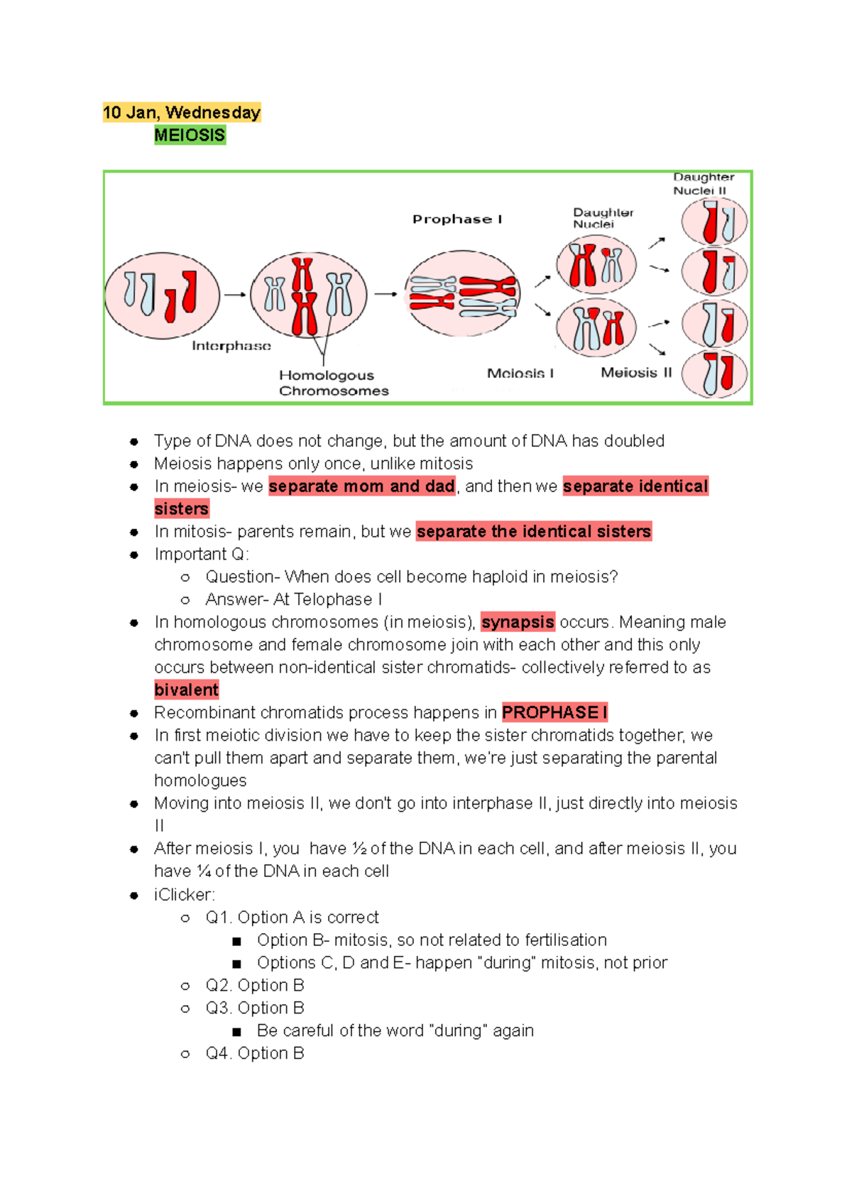 BIO 101 Lecture Notes: Meiosis Overview and Key Concepts - Studocu