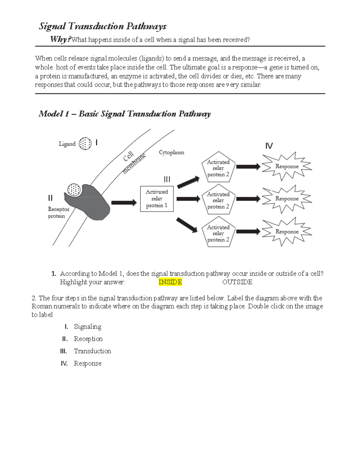 Chapter 11 - Signal Transduction Pathways - Signal Transduction Pathways Why? What happens ...