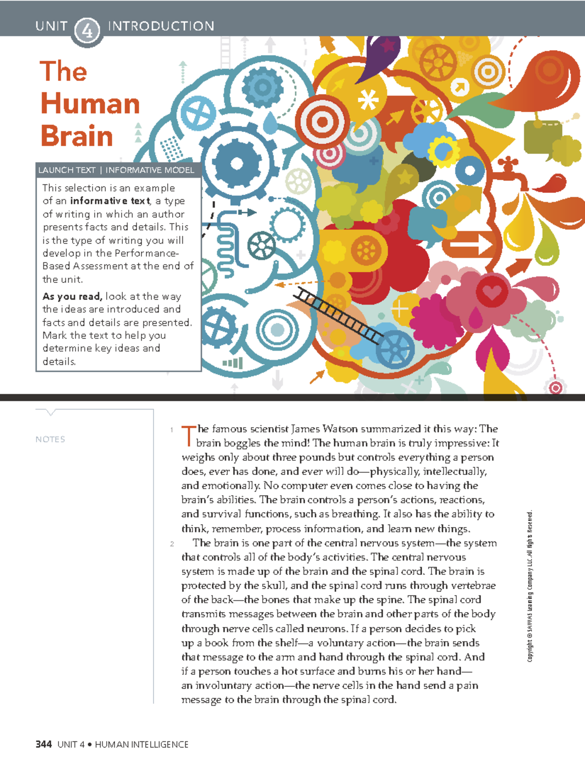 UNIT 4: The Human Brain - Informative Text Overview - Studocu