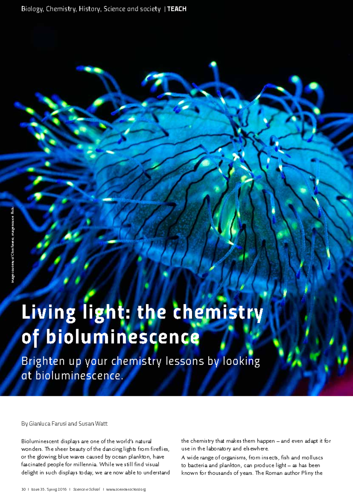 Bioluminescence: Chemistry and Teaching Insights for Science (Bio 101 ...