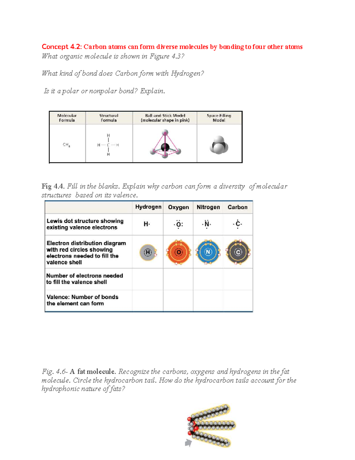 Concept 4.2 & 4.3: Carbon Molecules & Functional Groups Worksheet - Studocu