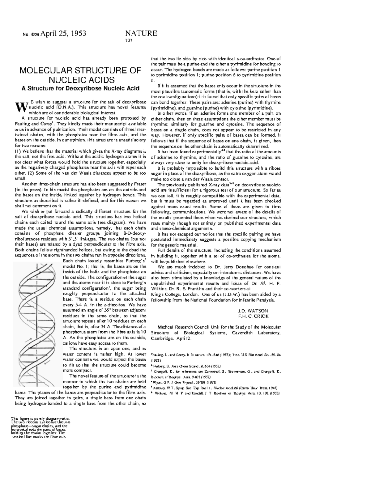 Molecular Structure of Nucleic Acids: Watson & Crick Insights - Studocu