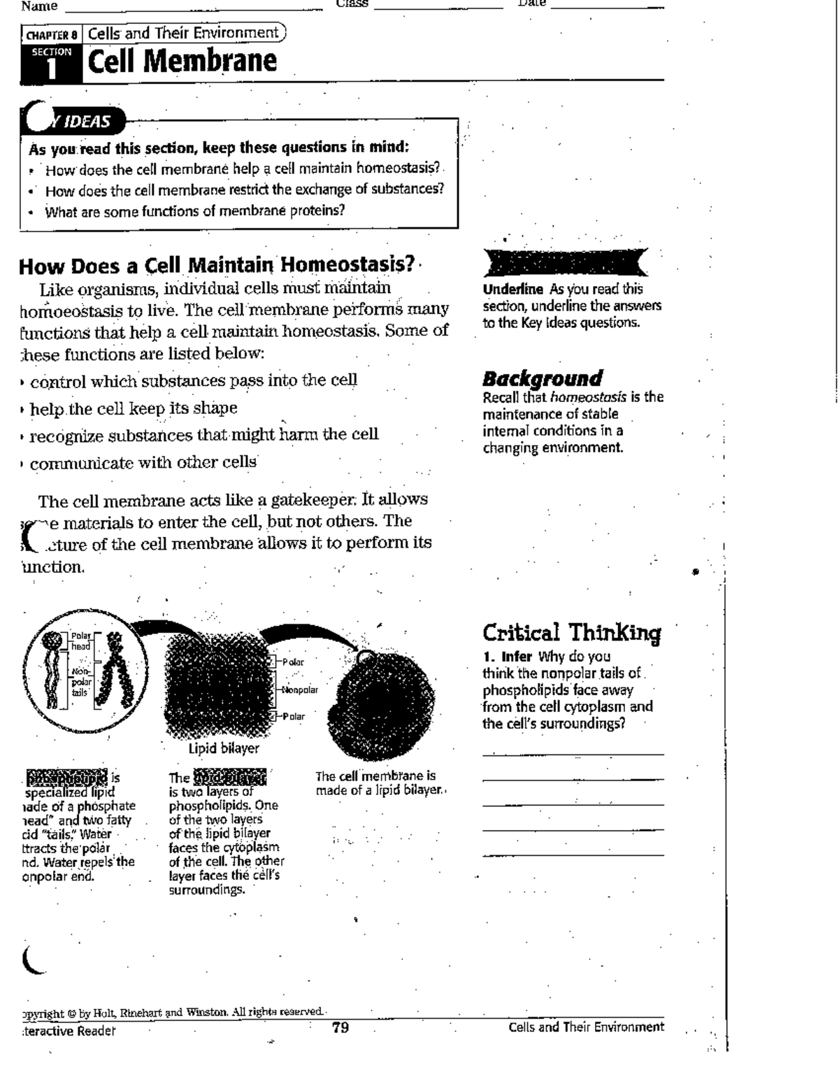 Cell Membrane Guided Reading - Name Class CHAPTER 8 Cells and Their ...