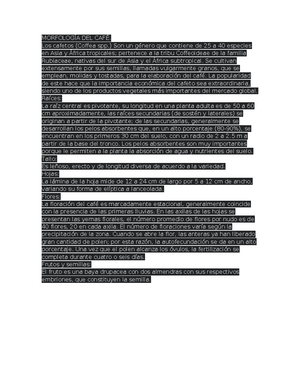 Morfología DEL Mango - MORFOLOGÍA DEL MANGO RAÍZ El mango tiene una ...