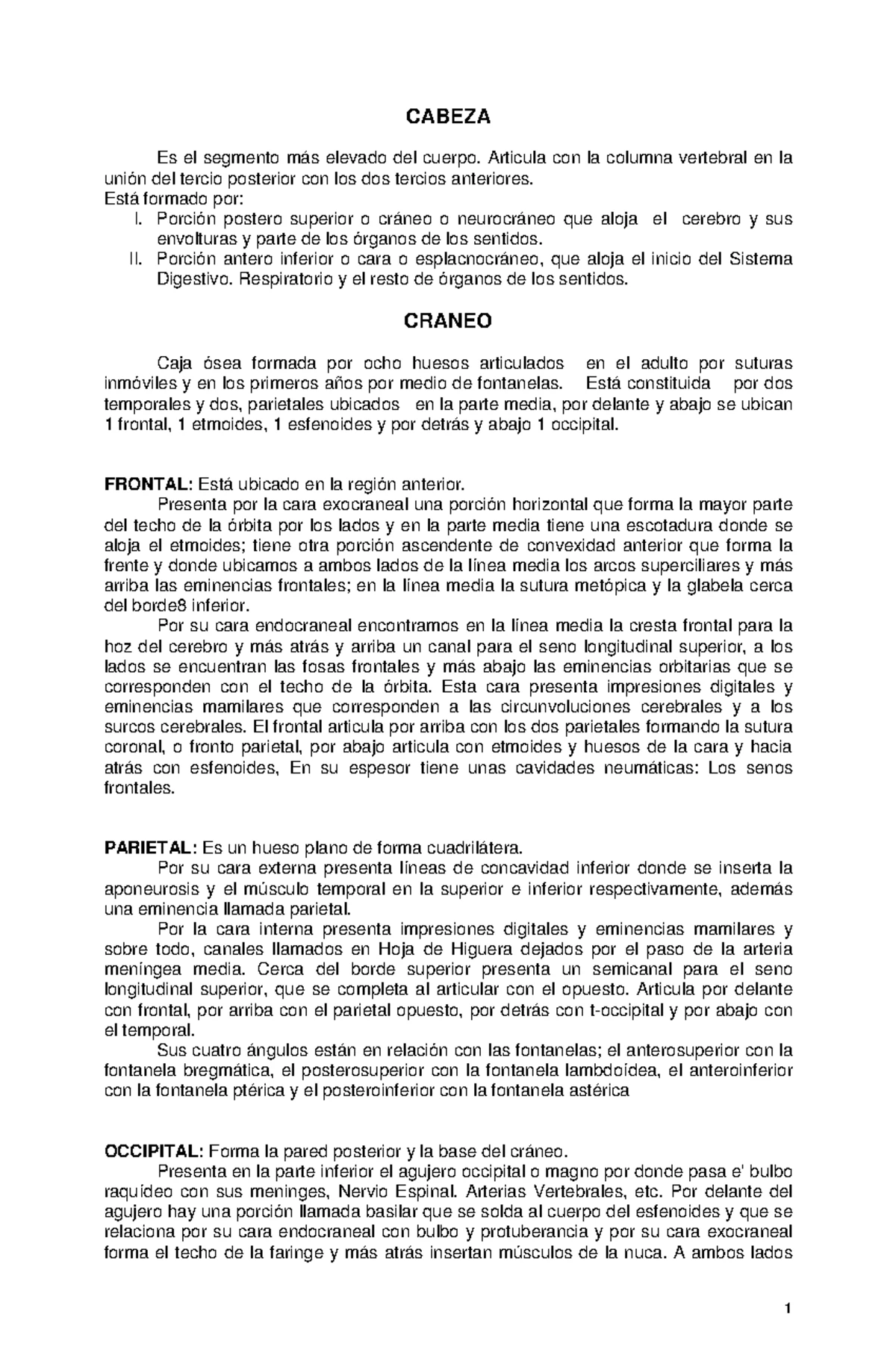 Hueso neumatico - Huesos neumáticos Que son: Son huesos que están ...