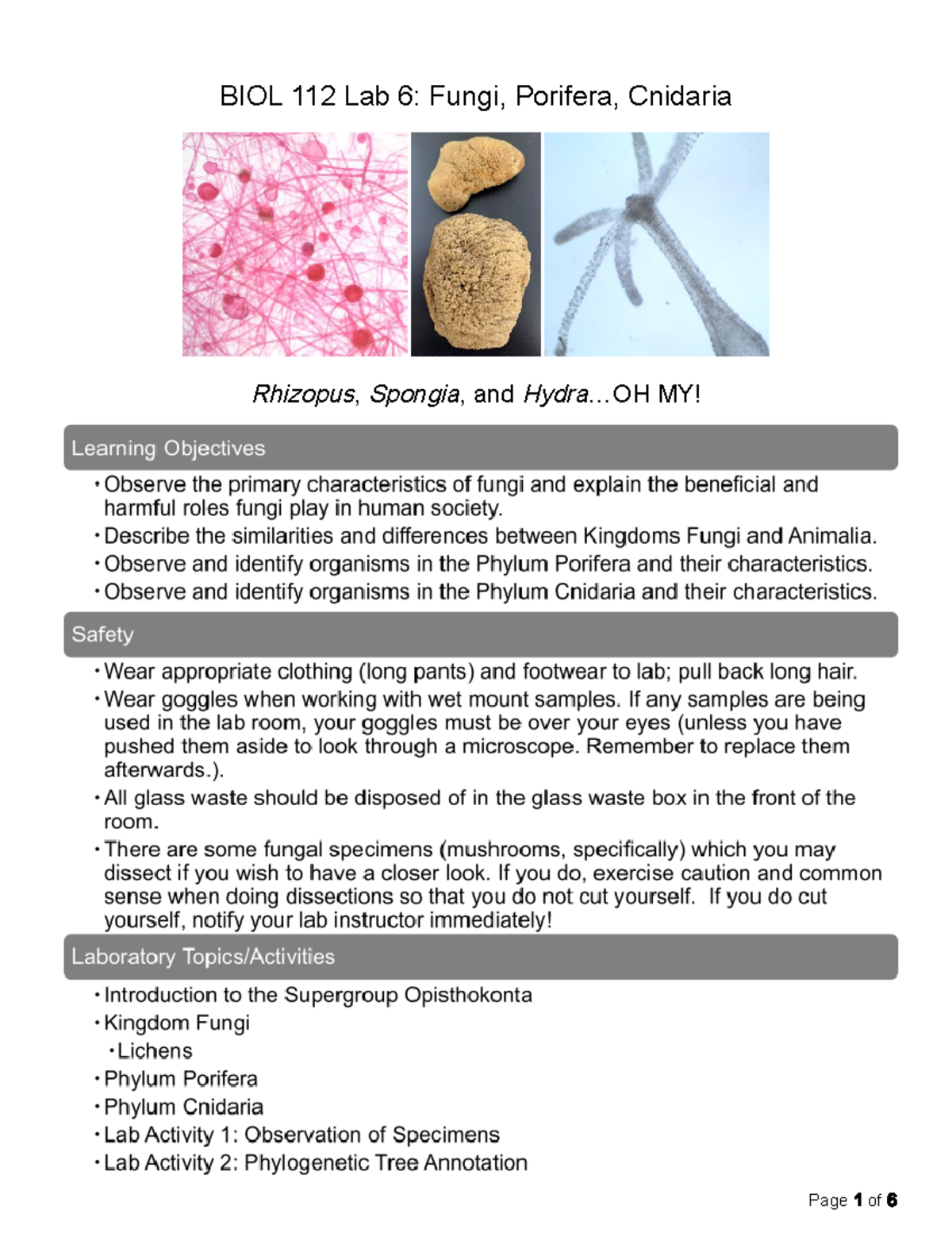 Lab 6 Fungi Cnidaria Porifera Protocol and Datasheet v4 - BIOL 112 Lab ...