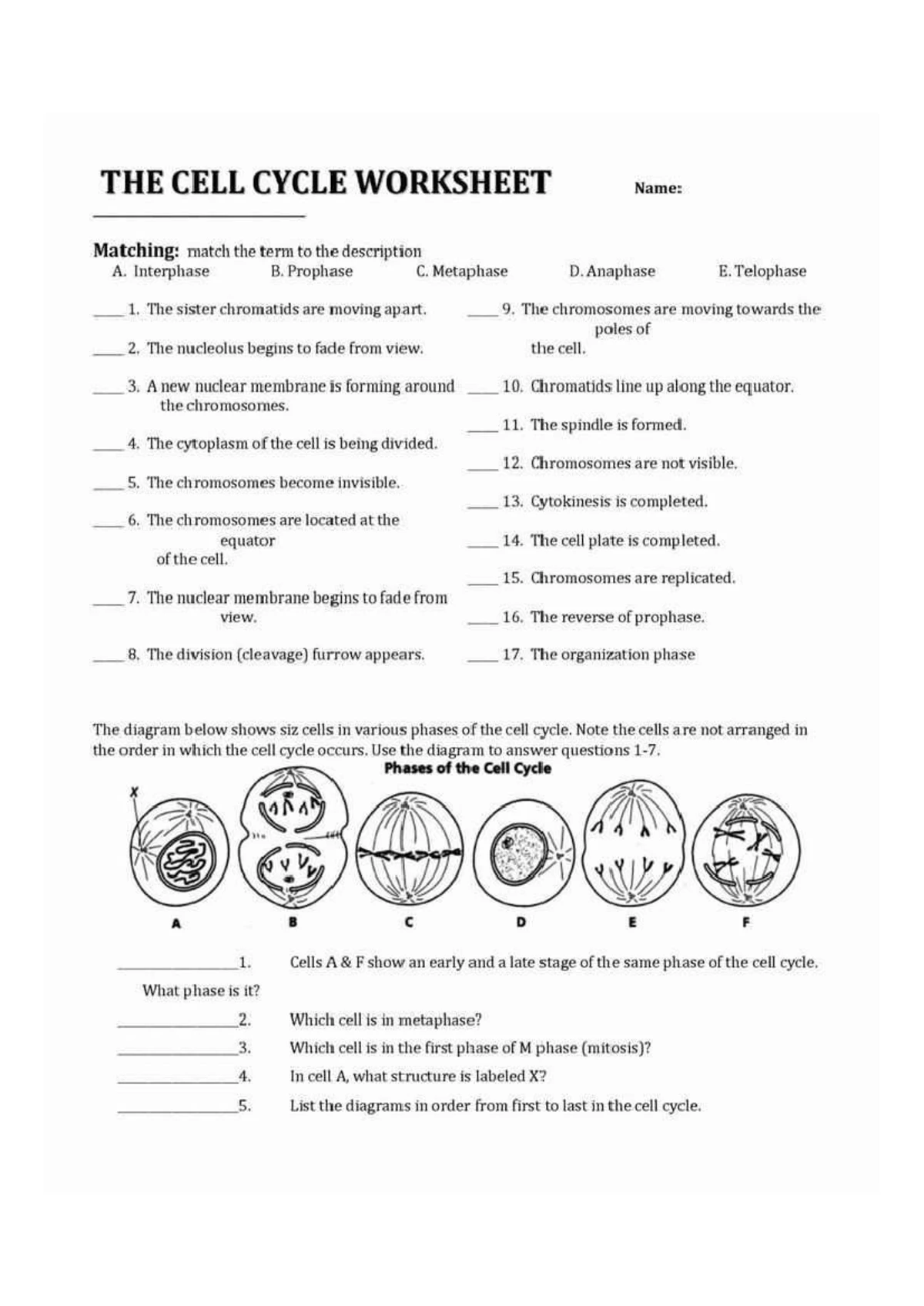 Life Sciences Grade 10 Worksheet 1 Plant tissues - Province of the ...