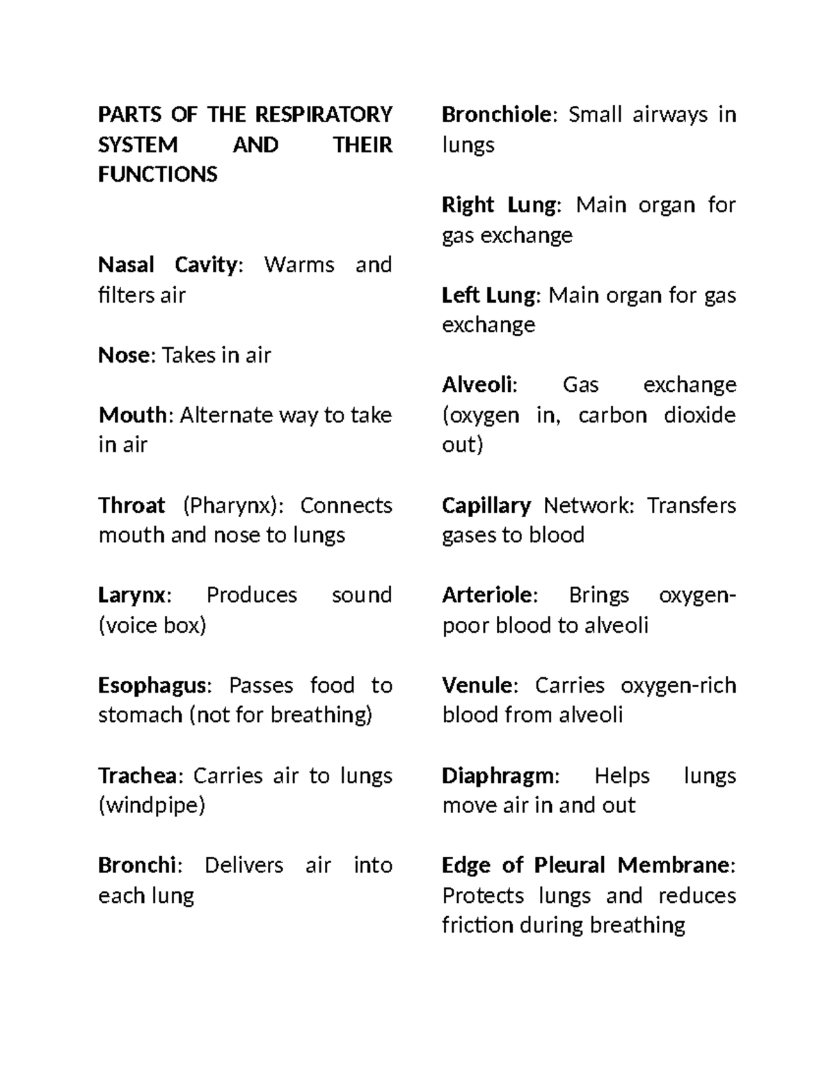 BIO 101: Functions of the Respiratory System Explained - Studocu