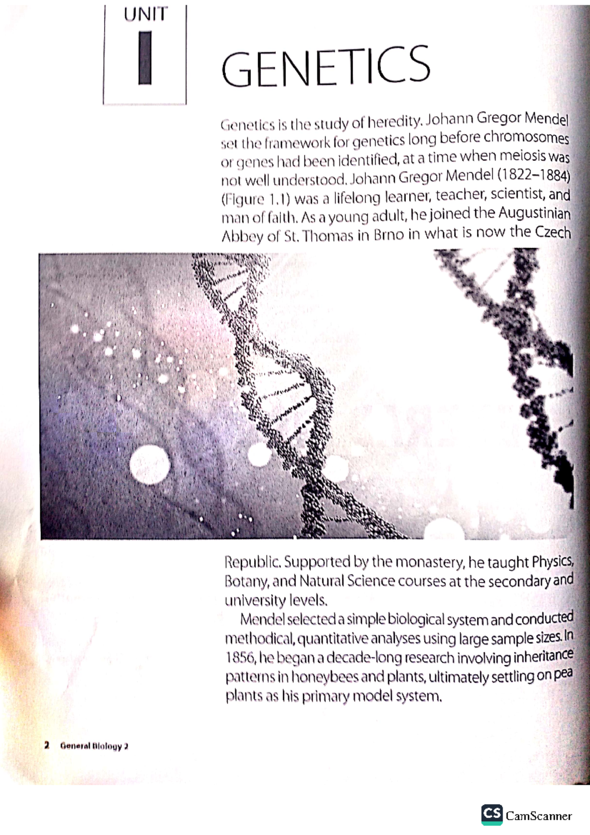 Genbio 2 Lesson 1-4: Mendelian Genetics and Patterns of Inheritance ...