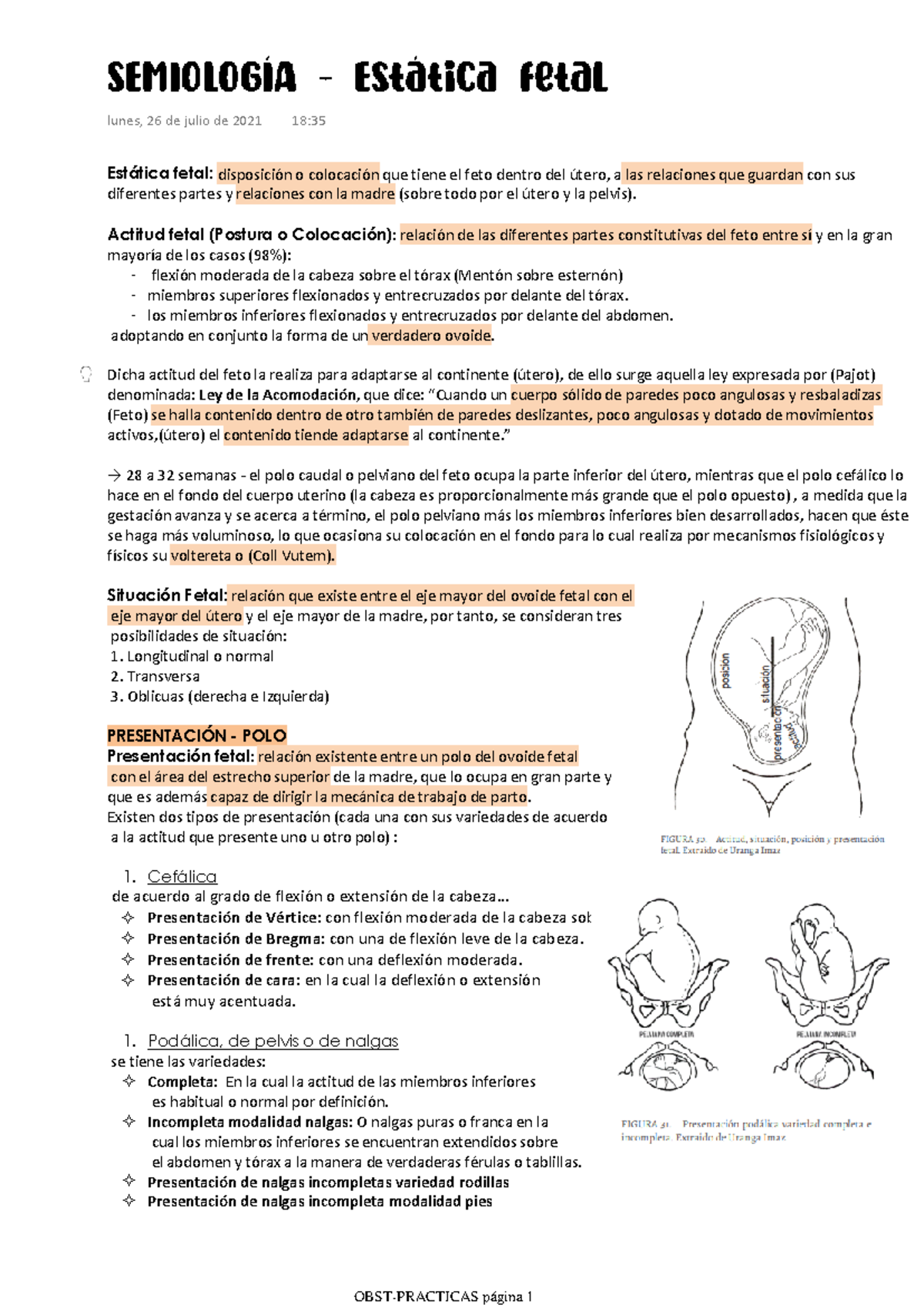 Semiología - Estática fetal - Estática fetal: disposición o colocación ...