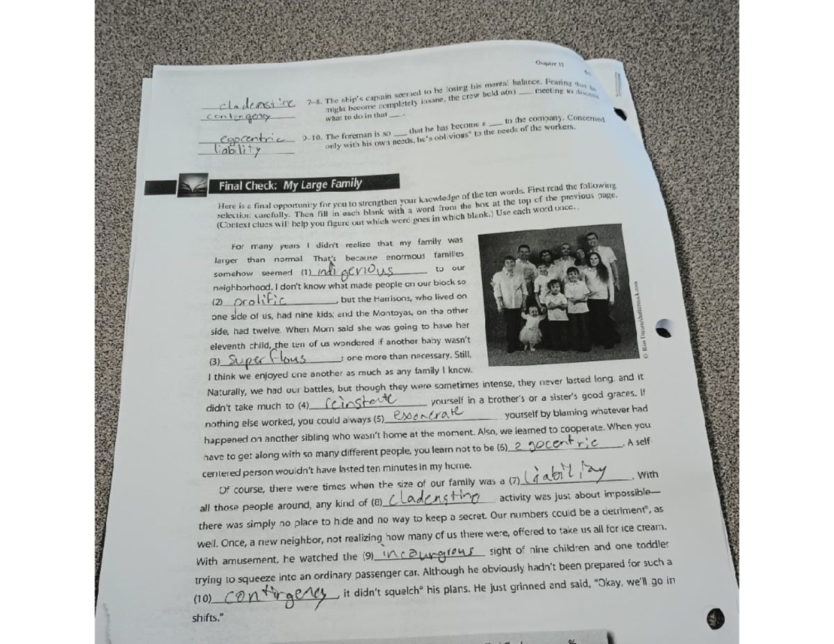 Chapter 11 Vocabulary Review: Family Dynamics and Context Clues - Studocu