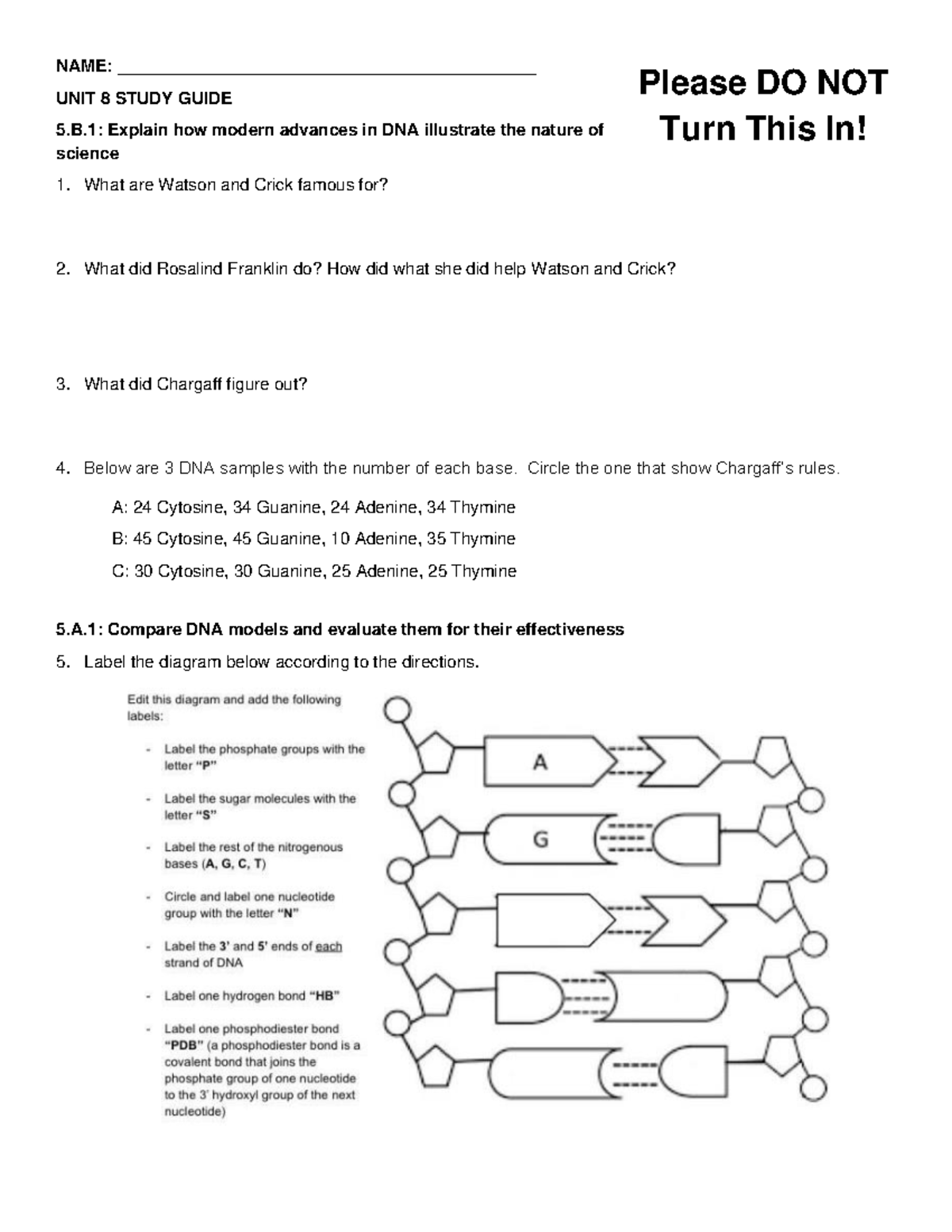 Unit 8 Study Guide: Molecular Biology and DNA Replication Insights ...