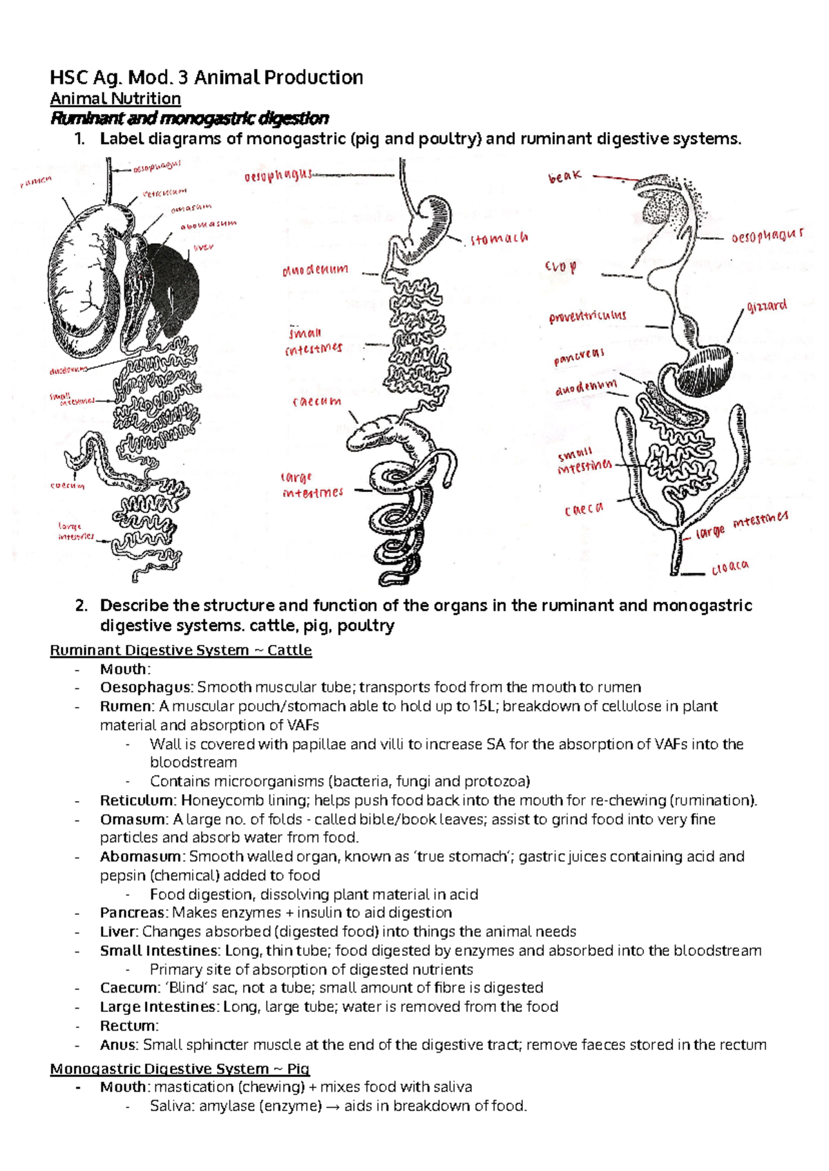 HSC Ag. Mod. 3 - Comprehensive Notes on Animal Production - Studocu