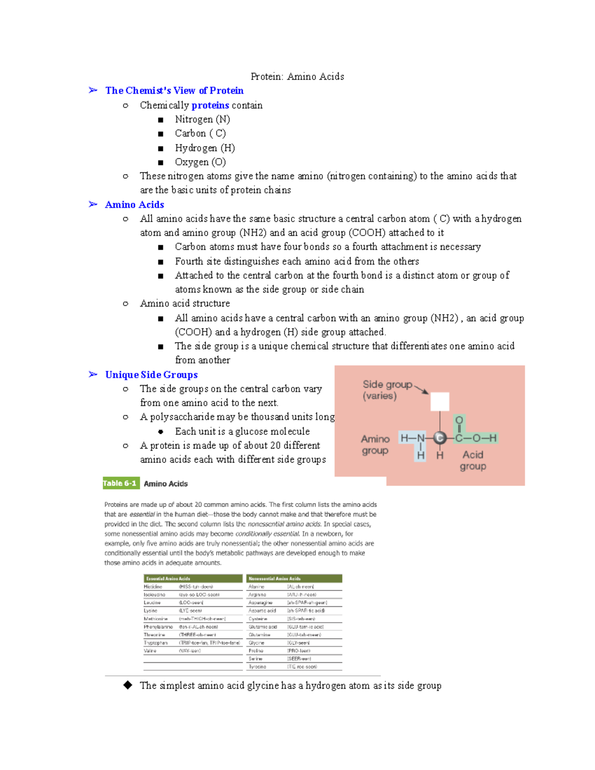 Protein Amino Acids Overview - Professor Juma (Lecture Notes) - Studocu