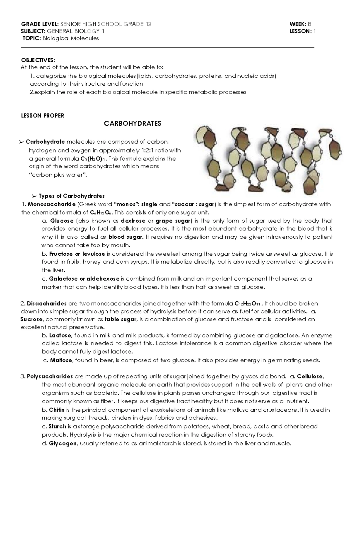 G12 General Biology 1 Lesson 1: Understanding Cell Modifications - Studocu