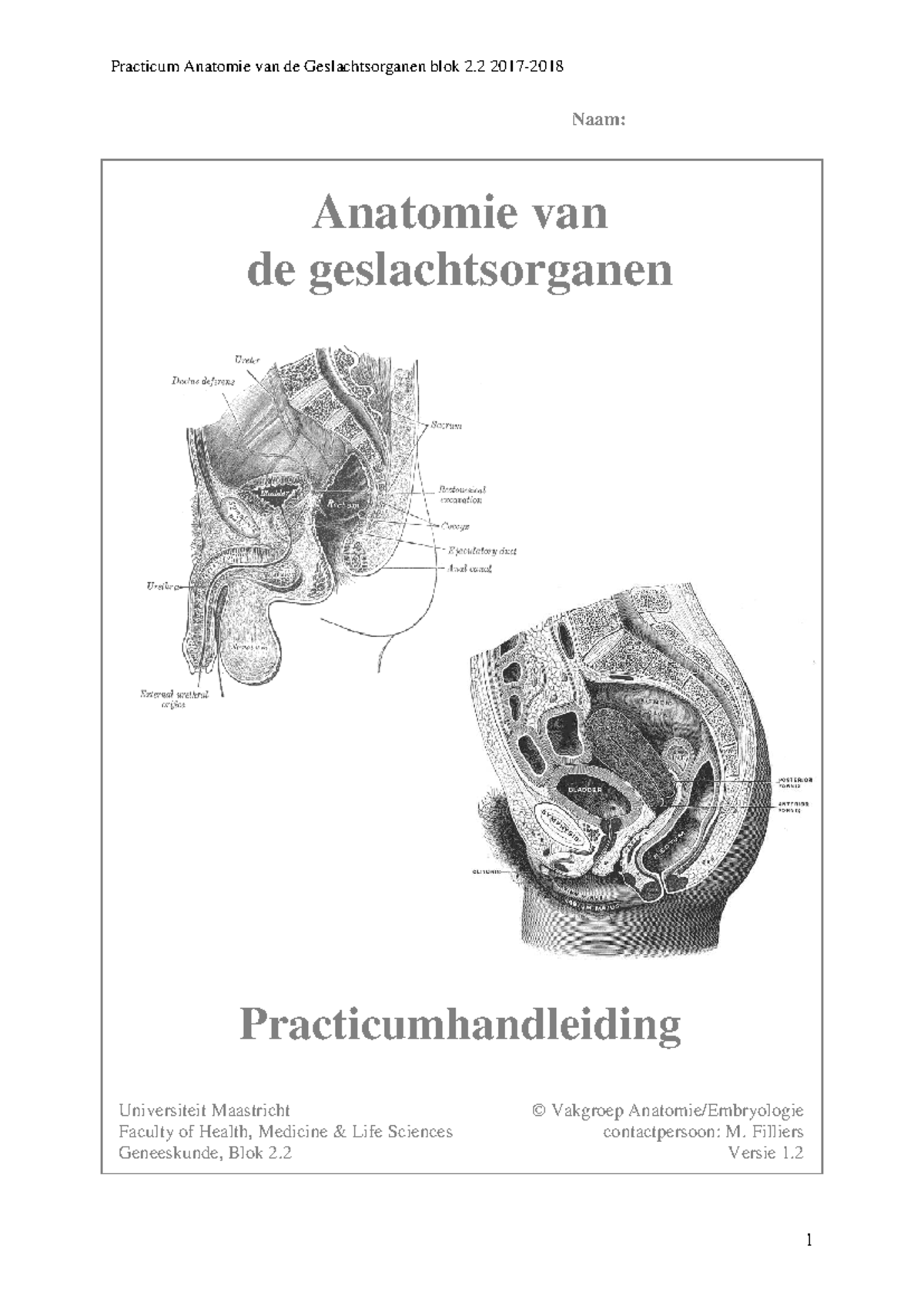 Practicumhandleiding Anatomie Van De Geslachtsorganen Blok 2 2