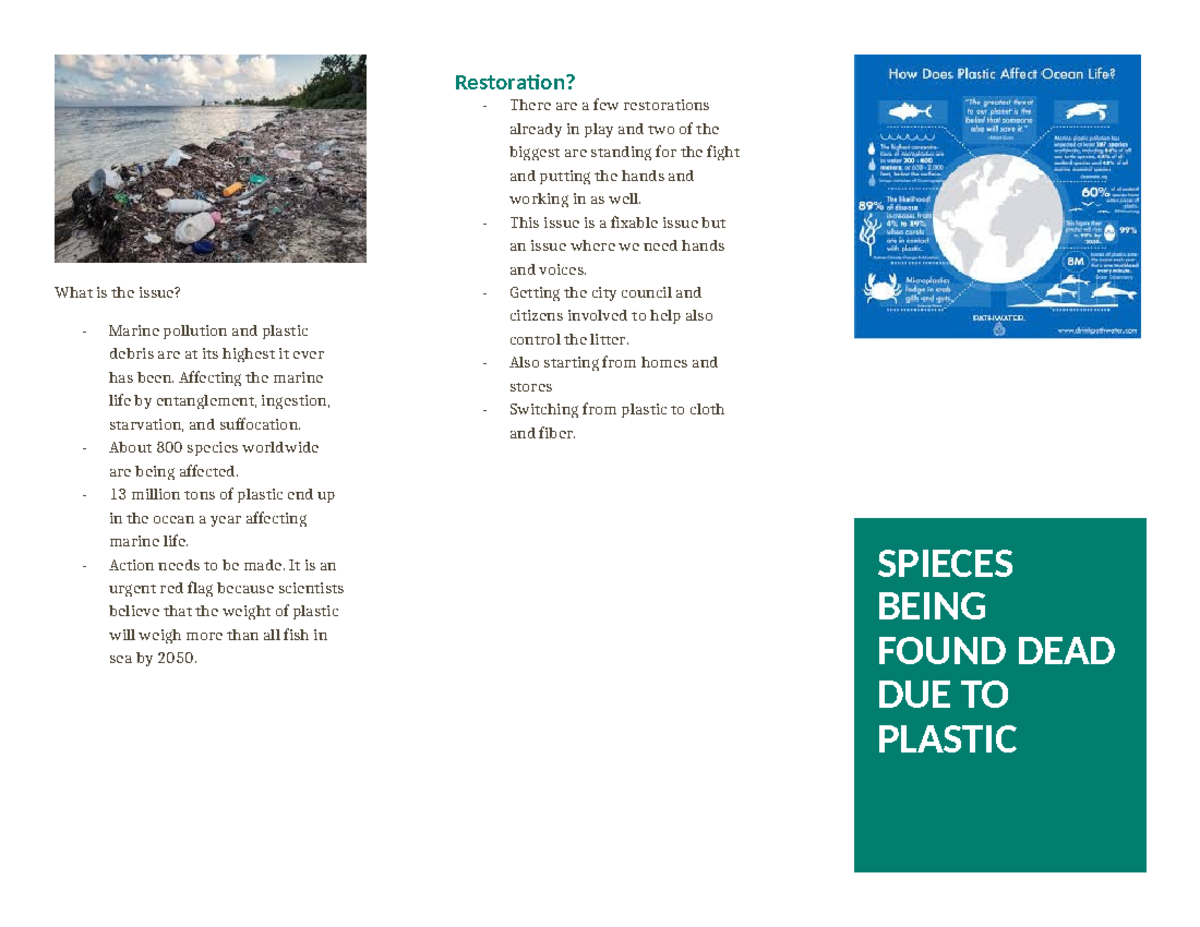 Template brochure for week 5 - What is the issue? - Marine pollution ...