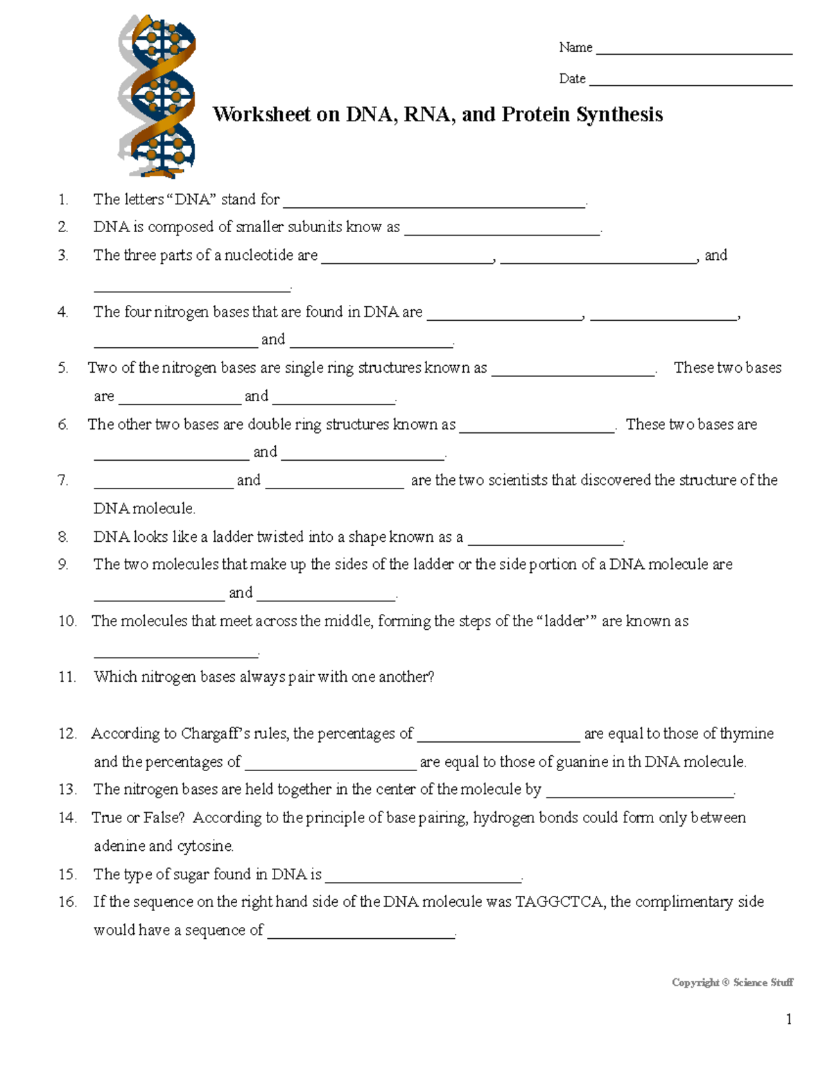 DNA Worksheet: Understanding Protein Synthesis Basics - Studocu