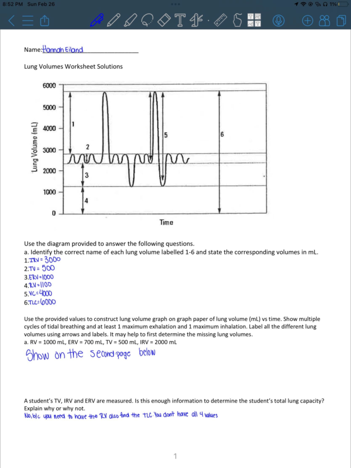 Pulmonary assignment - Dr. Nadjia - D Name: Hannah Eiland Lung Volumes ...