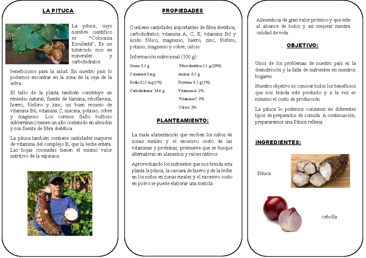 Triptico 2 - Beneficios Nutricionales de la Pituca (Colocasia Esculenta ...