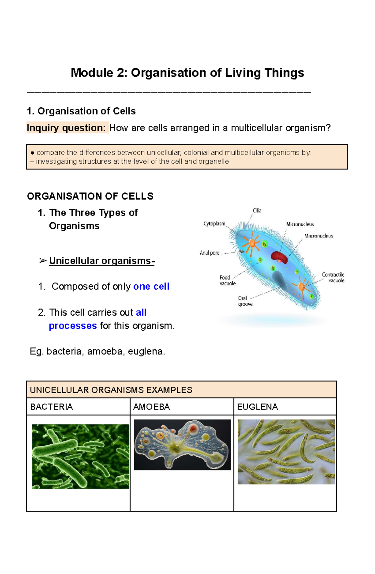 Module 2: Organisation of Living Things - Cells, Tissues & Digestion ...