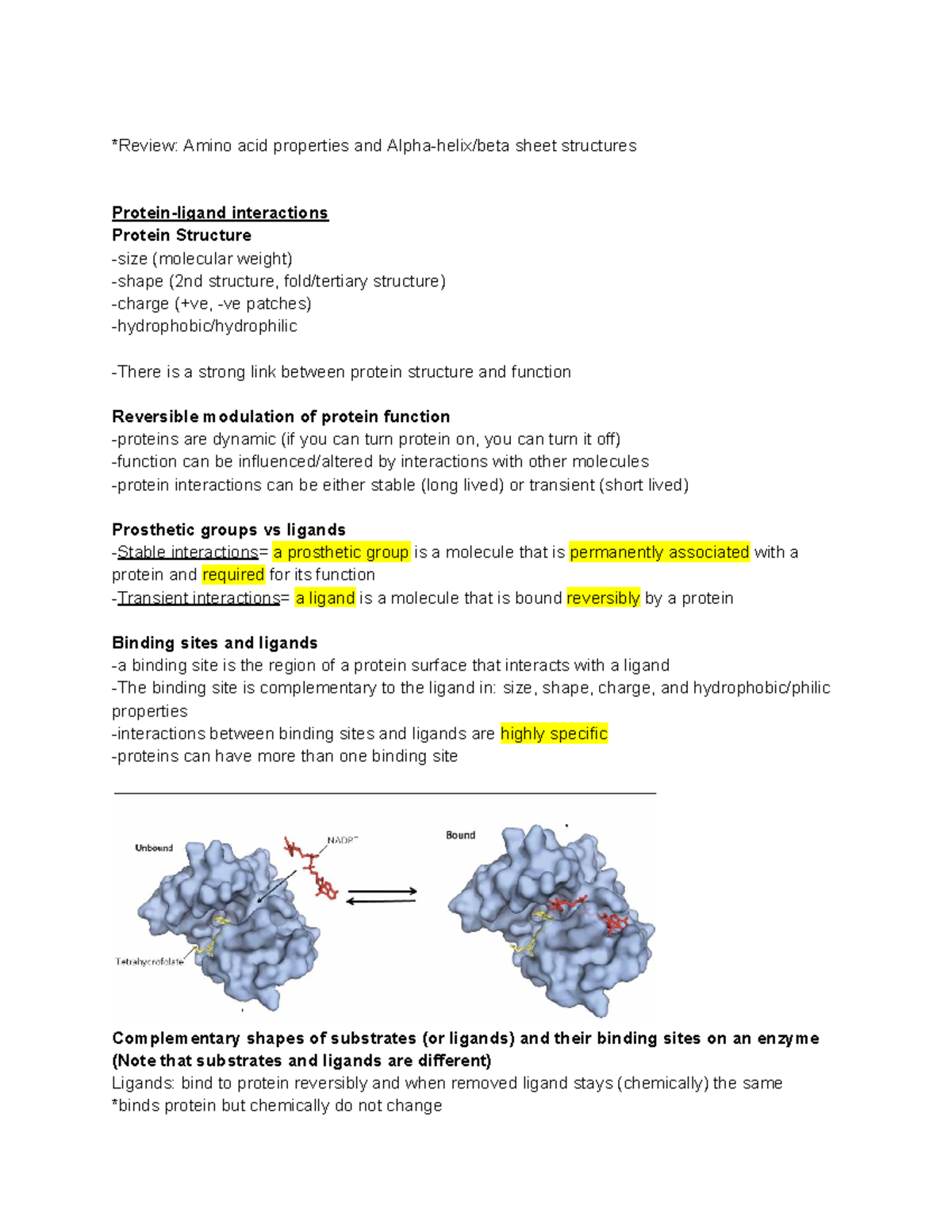 Protein Structure and Function: Interactions of Oxygen Binding Proteins ...