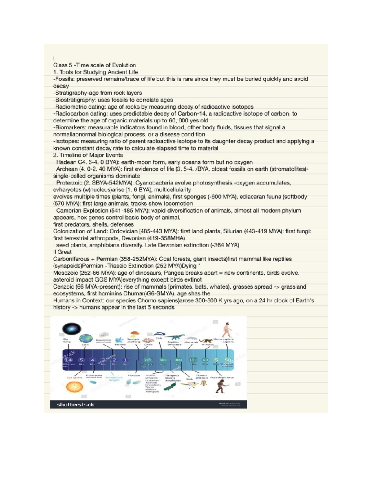 Midterm Study Guide for ABC123: Evolutionary Concepts and Timeline ...