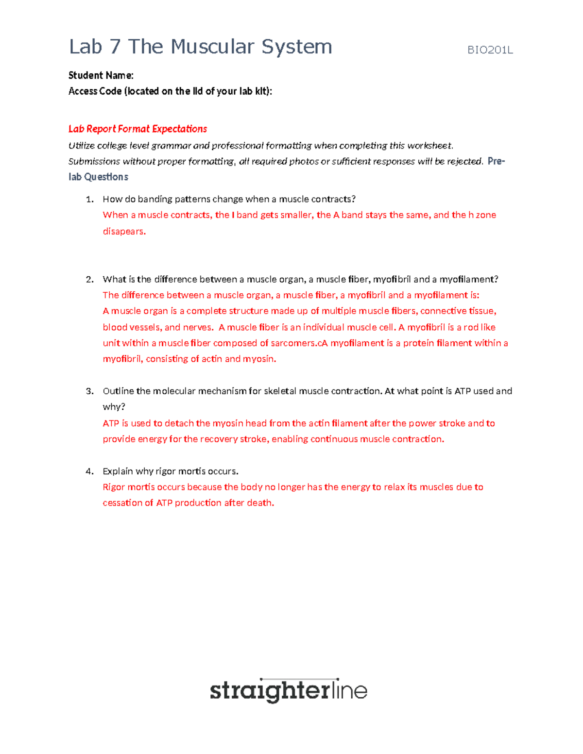 BIO201L Lab 7: The Muscular System Report and Observations - Studocu