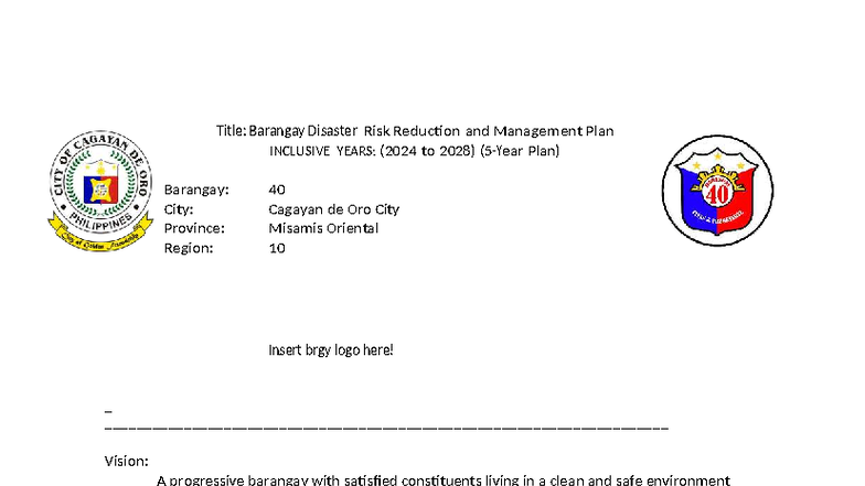 Barangay 40 Disaster Risk Reduction & Management Plan (2024-2028) - Studocu