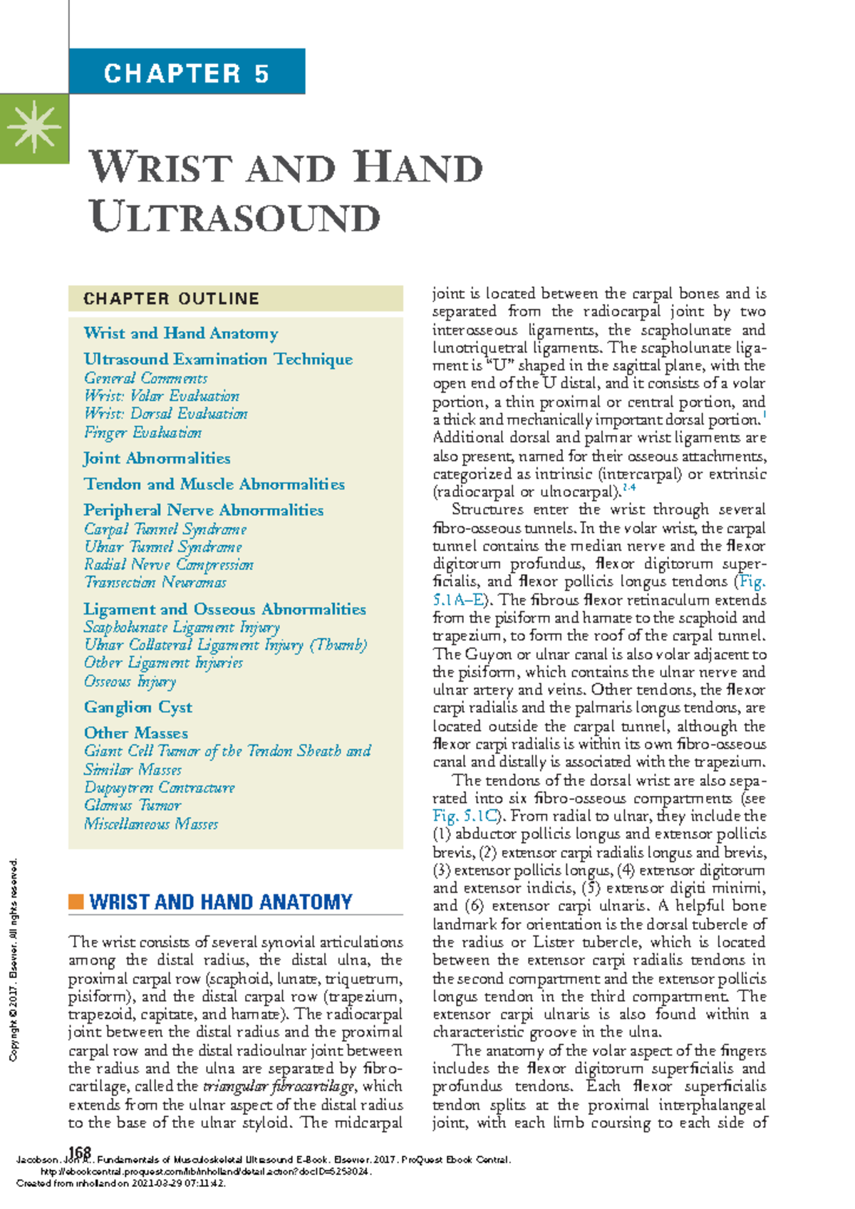 Wrist and Hand Anatomy in Musculoskeletal Ultrasound (Fundamentals ...