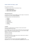 Informe Final Anatomía: Istmo de las Fauces - Odontología - Studocu