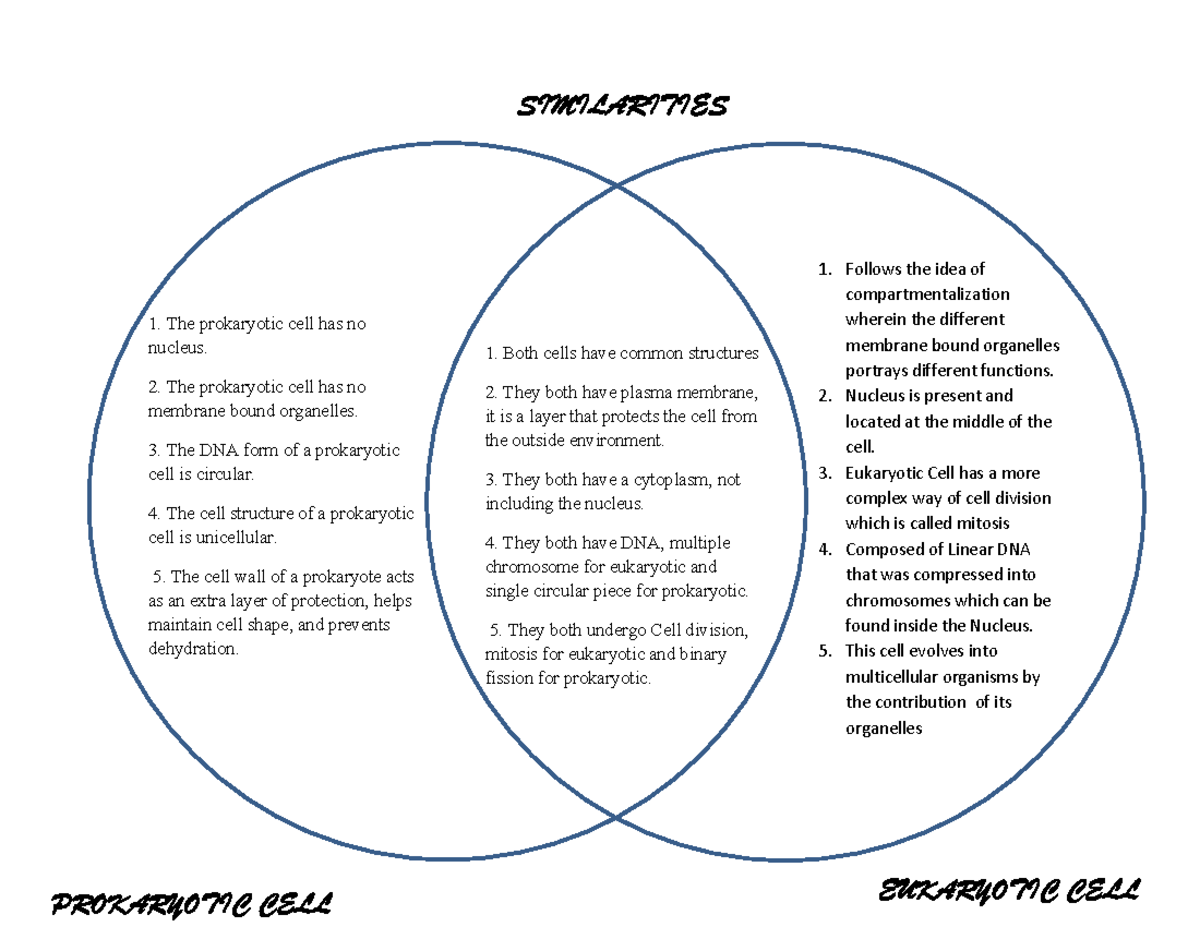 Biology 1 - PROKARYOTIC CELL EUKARYOTIC CELL SIMILARITIES Follows the ...