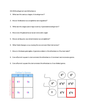 Human Reproductive System Overview: Functions and Anatomy - The Human ...
