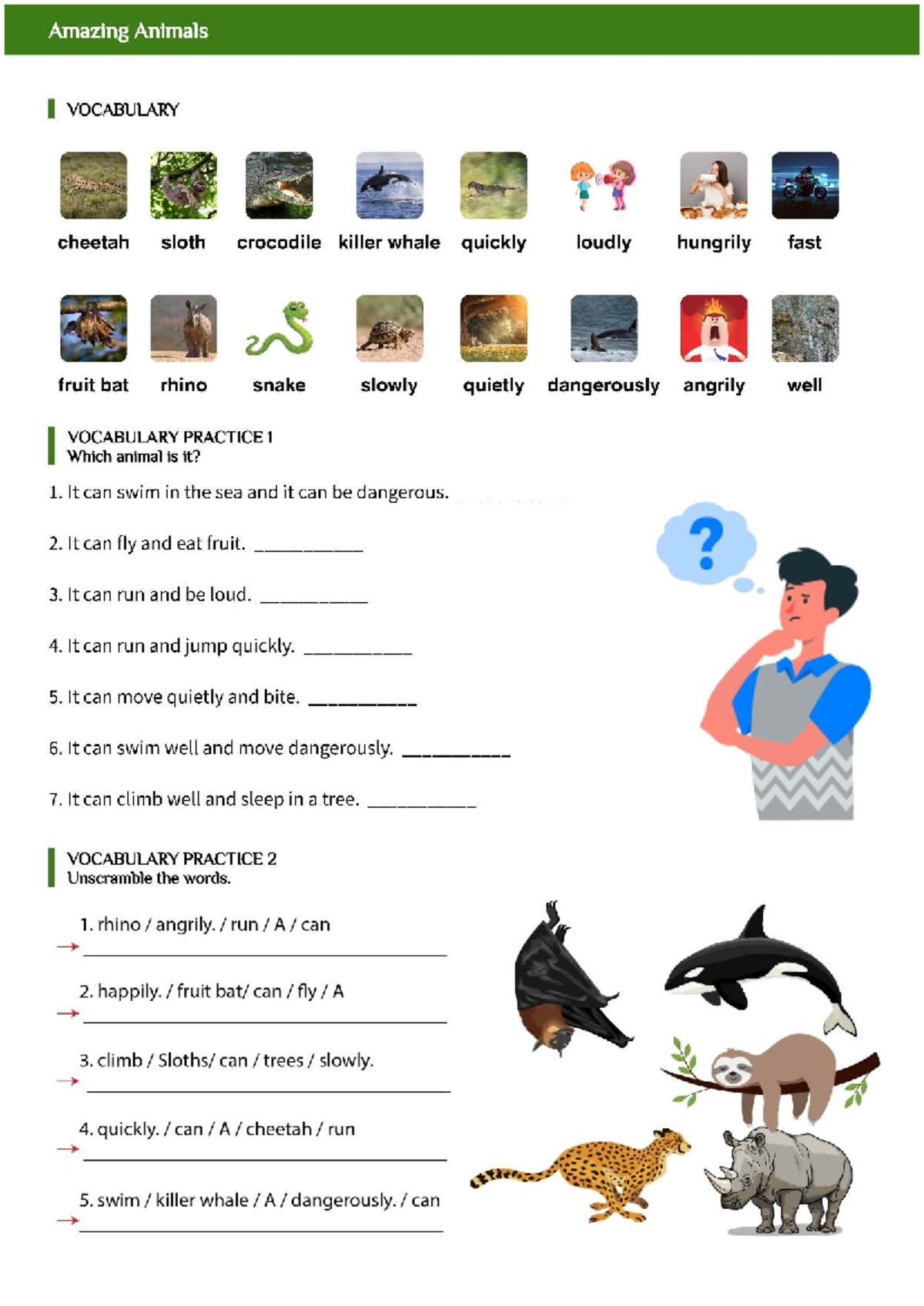 SJ A1 060 Vocabulary & Grammar Practice: Amazing Animals - Studocu