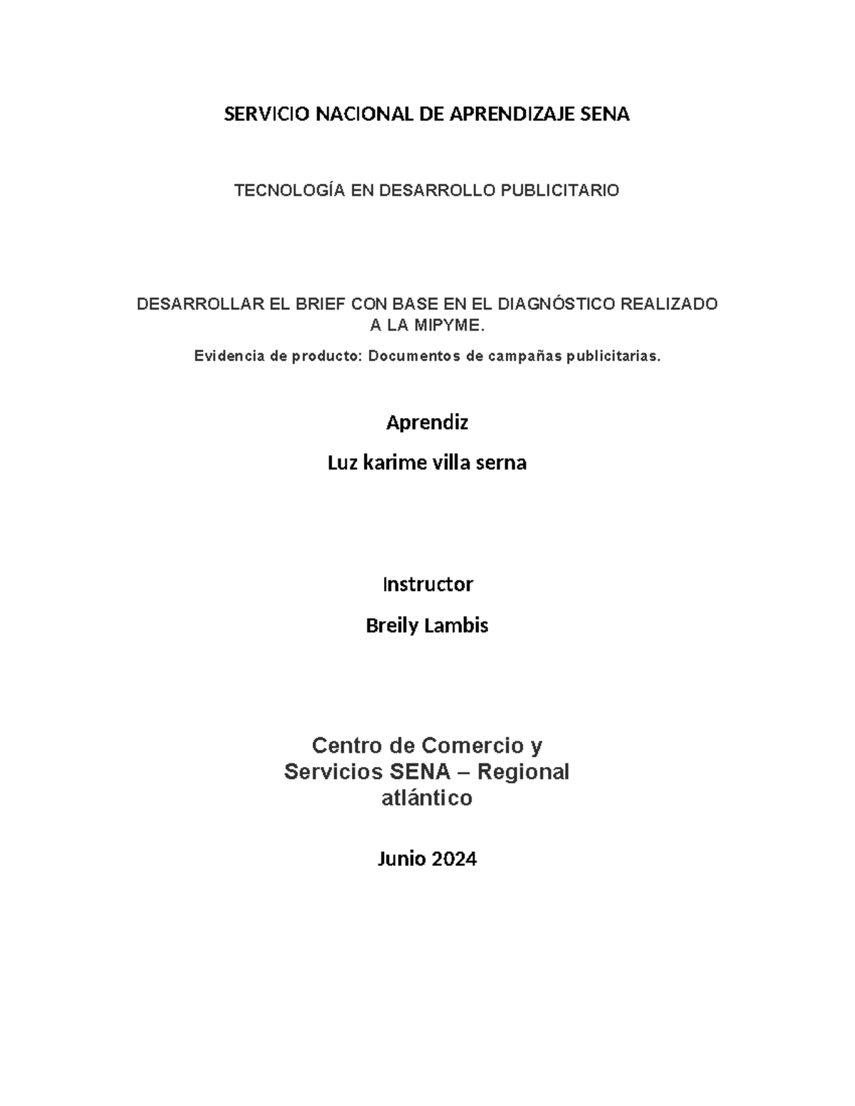 Desarrollo de Brief Publicitario para Mipyme Luz Villa: Diagnóstico ...