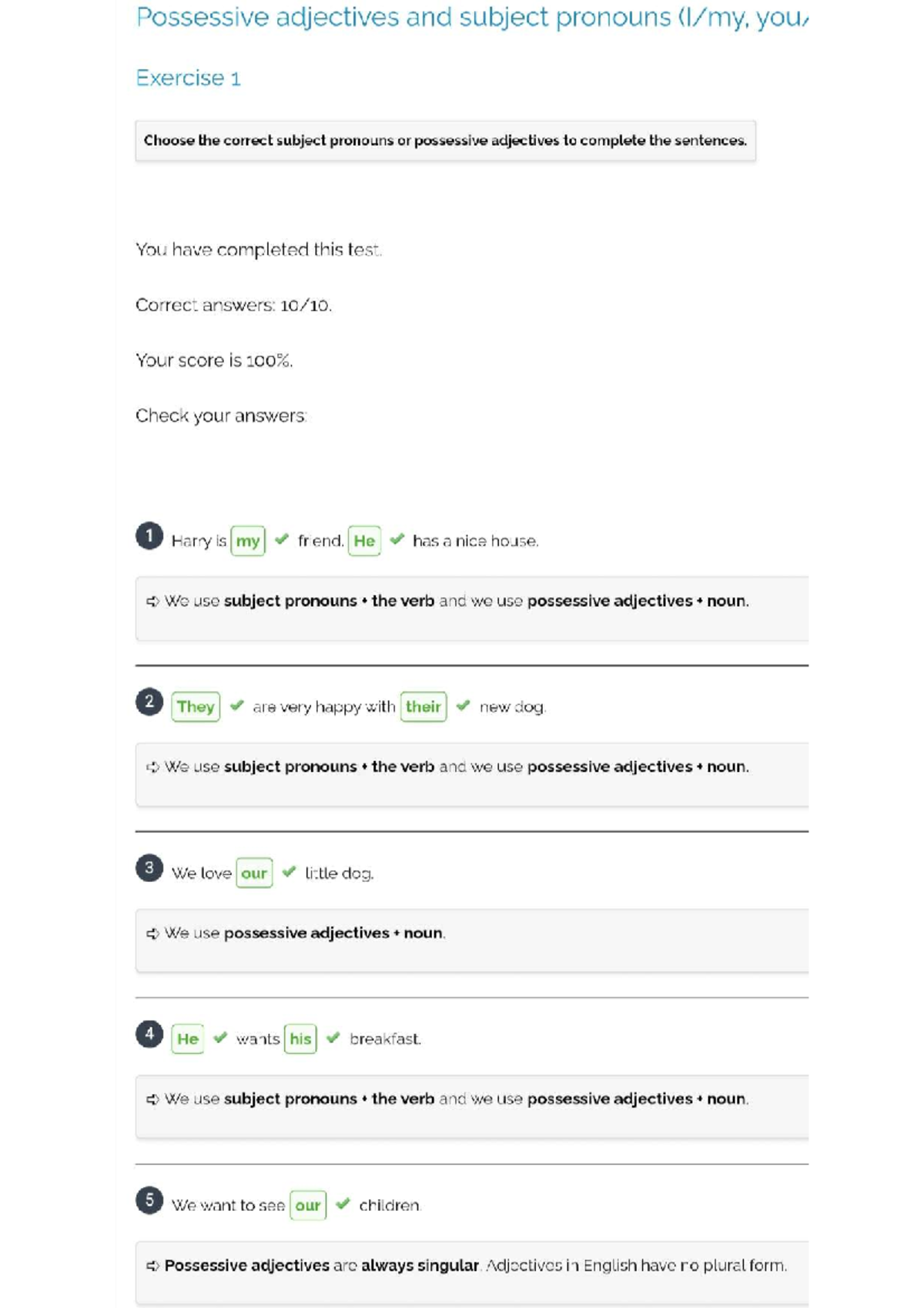 Possessive Adjectives & Subject Pronouns Exercise 1 - DOC-20250513 ...