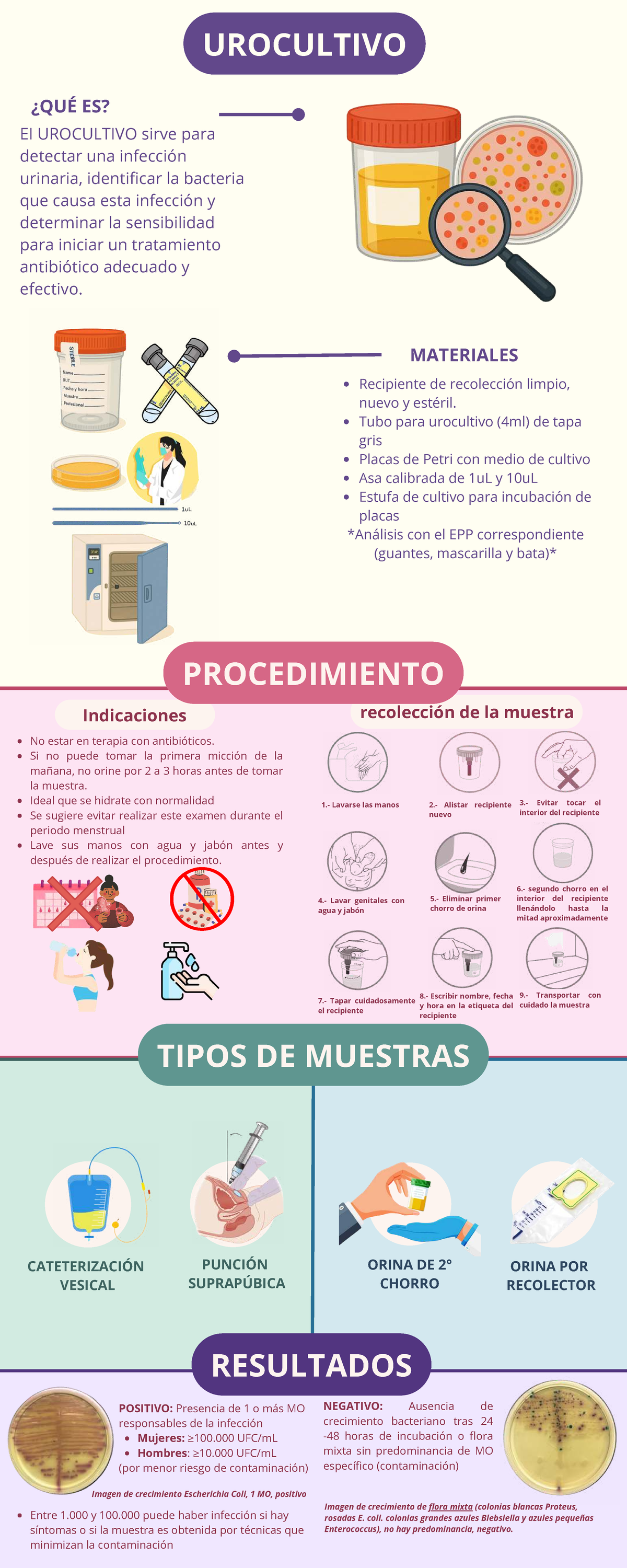 Infografía sobre Urocultivo: Detección de Infecciones Urinarias - Studocu