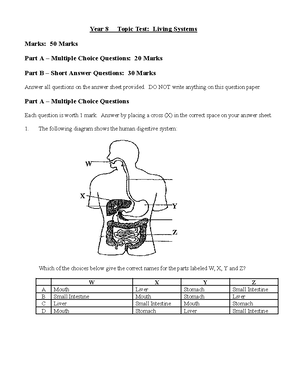 [Solved] how do sedimentary rocks form step by step - Year 8 Science ...