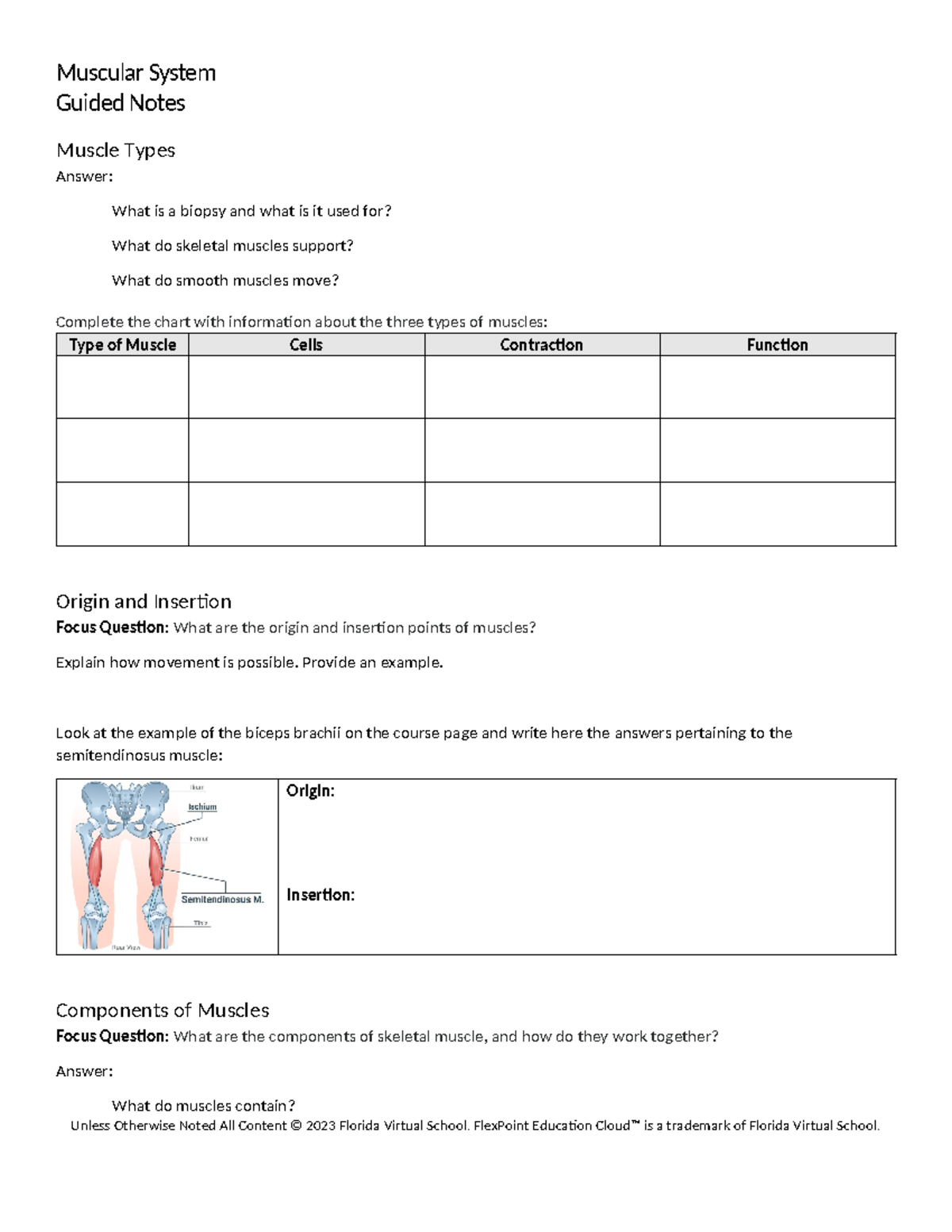 Guided Notes on Muscular System (BIO101) - Studocu