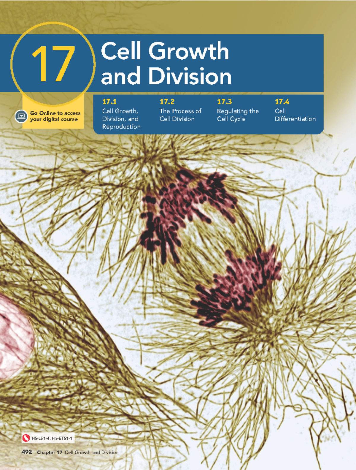 Cell Growth and Division: Exploring Cancer and Stem Cells (HS-LS1-4 ...