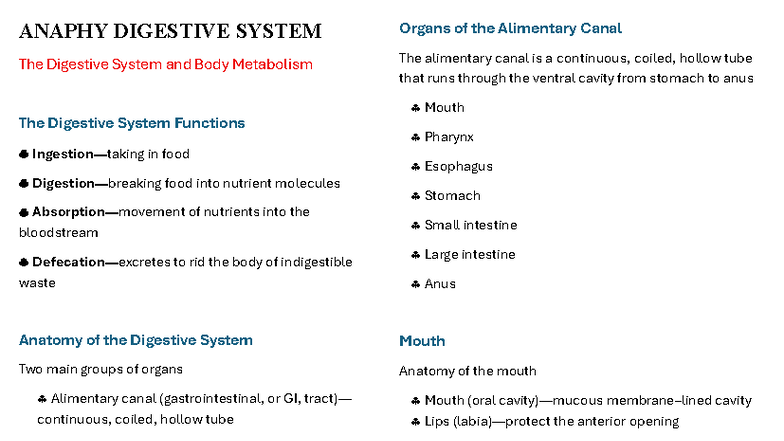 Anaphy Digestive System Overview: Organs & Functions - Studocu