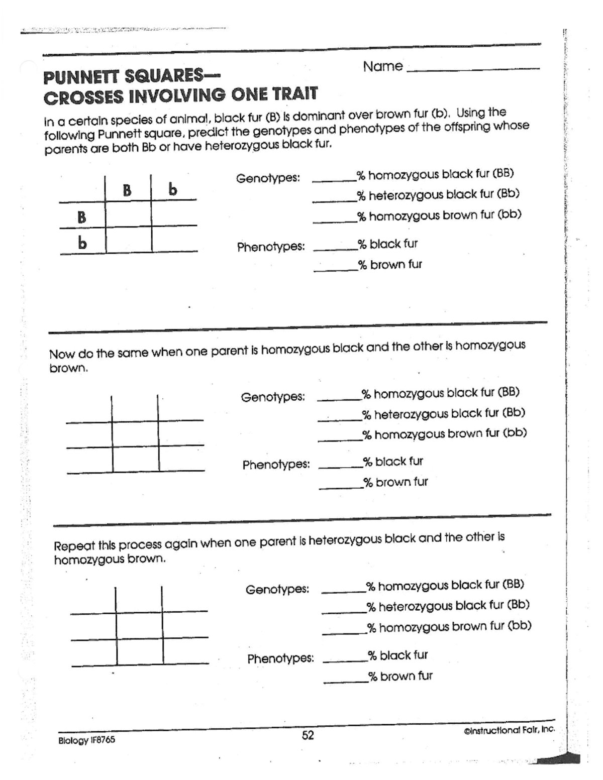 Punnett Squares Assignment: Genetics & Inheritance (Biology IF8765 ...