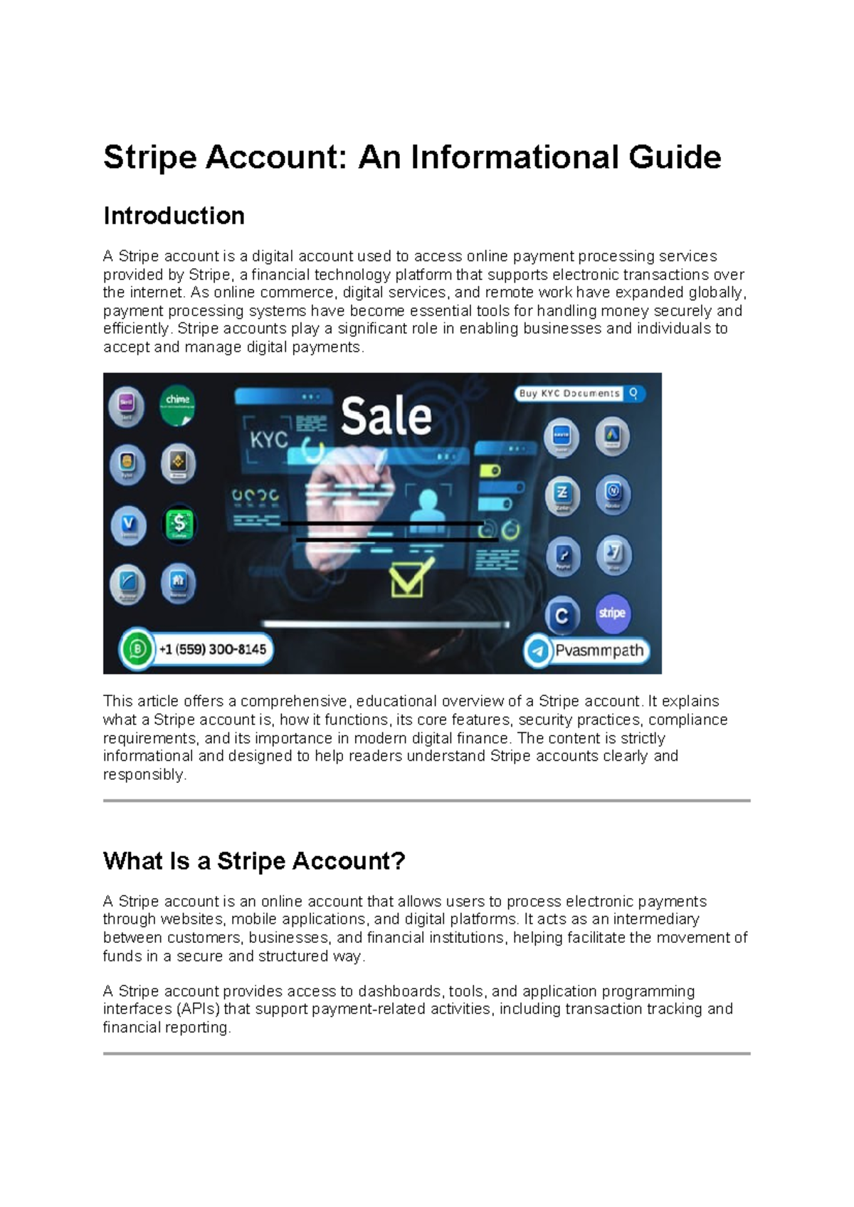 Stripe Account Overview: A Comprehensive Informational Guide - Studocu